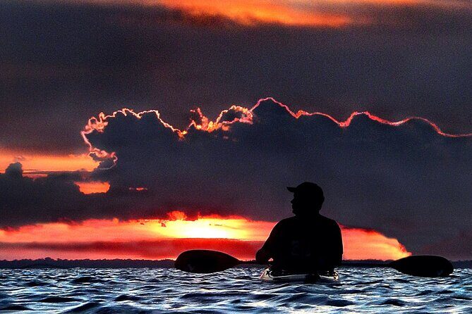 Clear Kayak Bioluminescence Tour - Cocoa Beach - FAQs