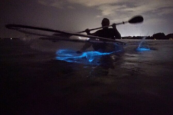 Clear Kayak Bioluminescence Tour - Discover the Glow: An Honest Look at the Clear Kayak Bioluminescence Tour