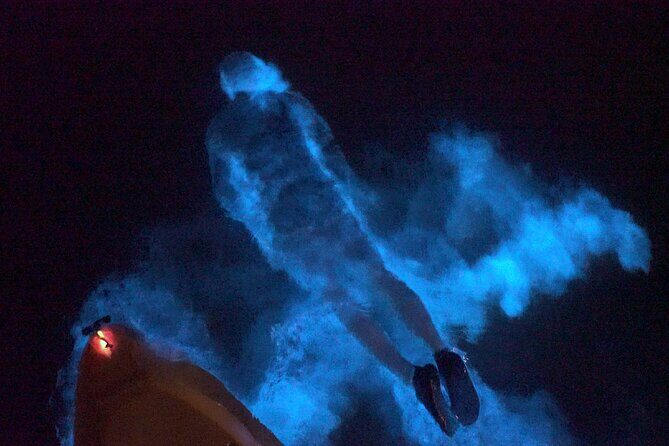 Clear Kayak Bioluminescence Tour - Final Thoughts - Who Should Consider This Tour?