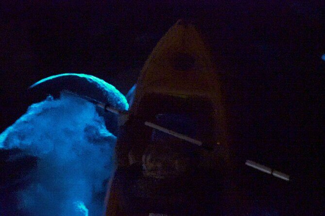 Clear Kayak Bioluminescence Tour - Frequently Asked Questions