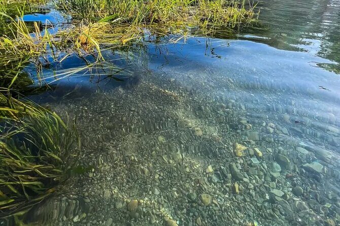Clear Kayak Day Adventure Tour in San Marcos - An In-Depth Look at the Experience