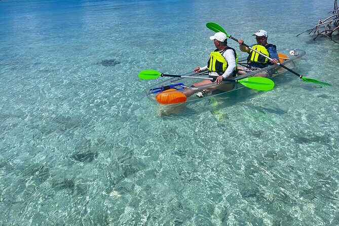Clear Kayak Eco Tour Explore Mangroves and Meet the Turtles - How About the Equipment and Comfort?