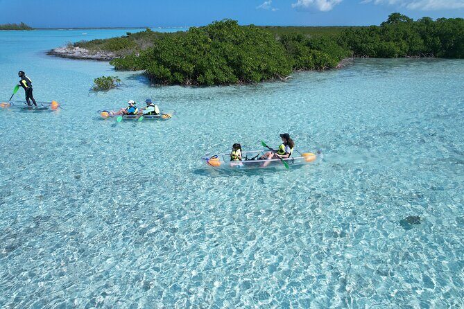 Clear Kayak Eco Tour Explore Mangroves and Meet the Turtles - Is It Worth the Price?