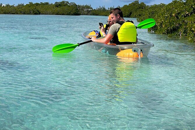 Clear Kayak Eco Tour Explore Mangroves and Meet the Turtles - The Sum Up: Is This Tour Worth Your Time?