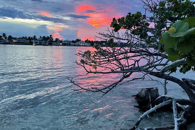 Clear Kayak Eco Tour in Jupiter, Florida - Why the Clear Kayak Eco Tour Deserves Your Attention
