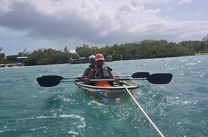 Clear Kayak ECO Tours - Why This Tour Offers Good Value