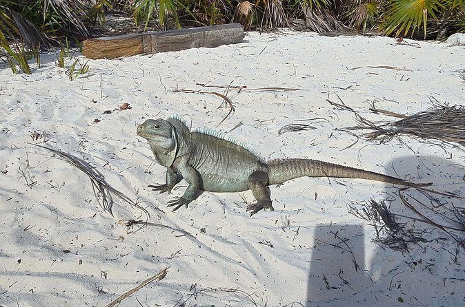 Clear Kayak ECO Tours - Who Will Love This Tour?