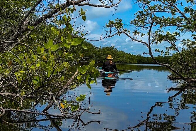 Clear Kayak Ecotour at Robinson Preserve in Bradenton, Florida - Who Should Consider This Tour?
