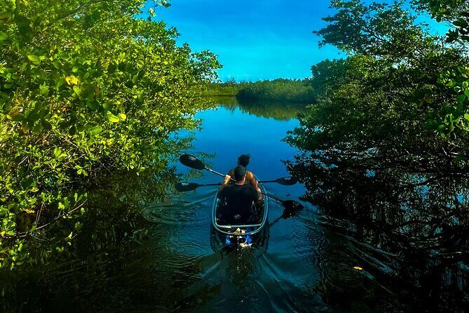 Clear Kayak Ecotour at Robinson Preserve in Bradenton, Florida - FAQs