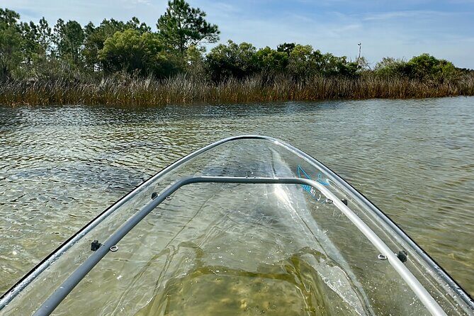 Clear Kayak Ecotour Destin Ft. Walton Beach - Concluding Thoughts: Who Will Love This Tour?