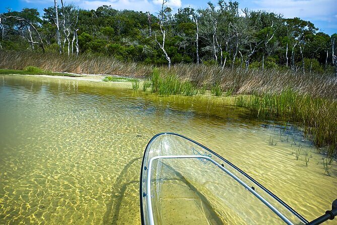 Clear Kayak Ecotour Destin Ft. Walton Beach - FAQ