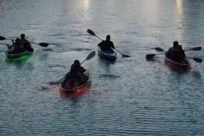 Clear Kayak Glow Tour - What Travelers Are Saying