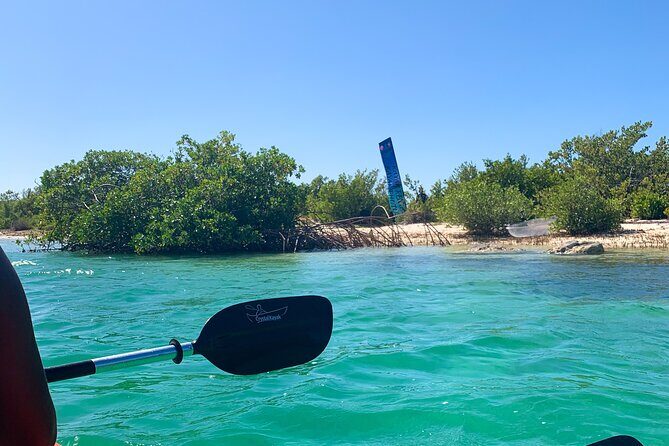 Clear kayak Grand Turk Island Kayak Tour of the mangroves - The Pros and Cons