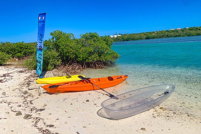 Clear kayak Grand Turk Island Kayak Tour of the mangroves - The Sum Up