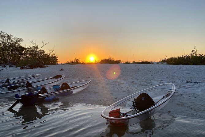 Clear Kayak Guided Eco Tour in North Naples - Experiencing the North Naples Eco Tour: A Deep Dive