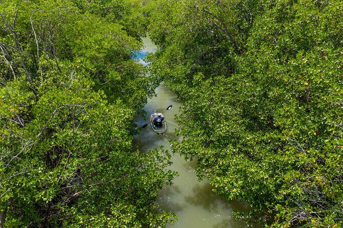 Clear Kayak Guided Eco Tour in North Naples - FAQ