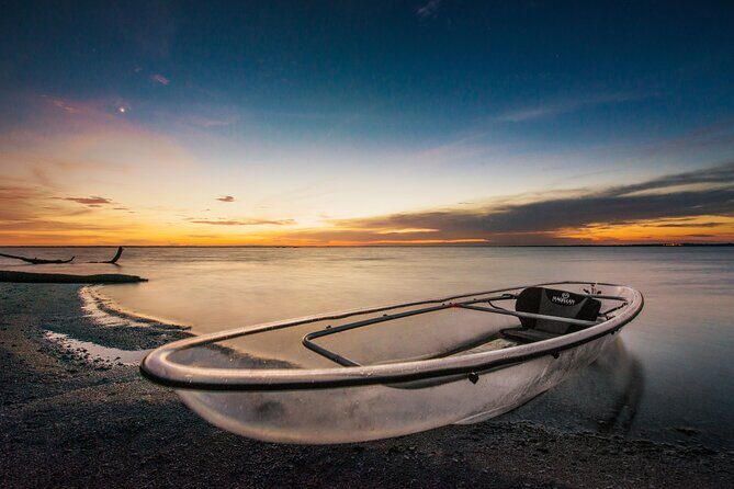Clear Kayak Guided Kayak Tours in Titusville - Introduction: What to Expect from a Clear Kayak Adventure