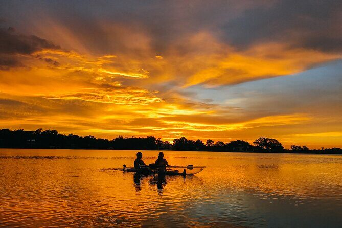 Clear Kayak Guided Kayak Tours in Titusville - What It’s Like to Paddle Through Merritt Island’s Wildlife