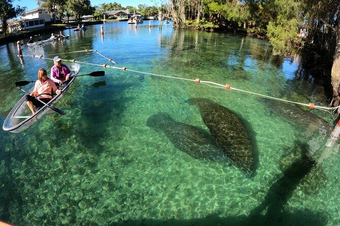 Clear Kayak Manatee Ecotour of Crystal River - Introductory Overview