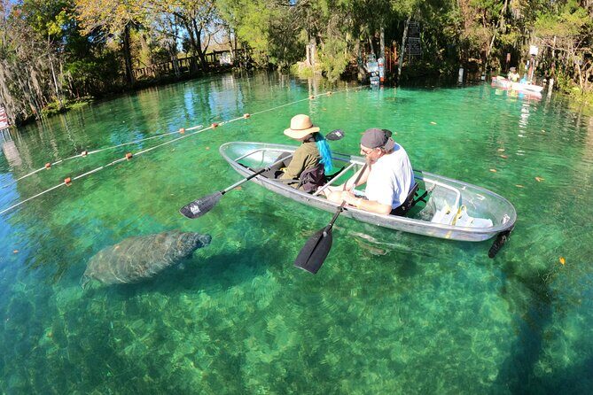 Clear Kayak Manatee Ecotour of Crystal River - Key Points