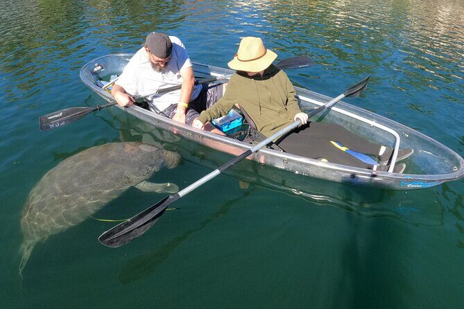 Clear Kayak Manatee Ecotour of Crystal River - Who Should Consider This Tour?