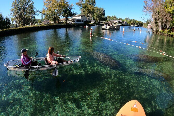 Clear Kayak Manatee Ecotour of Crystal River - The Sum Up