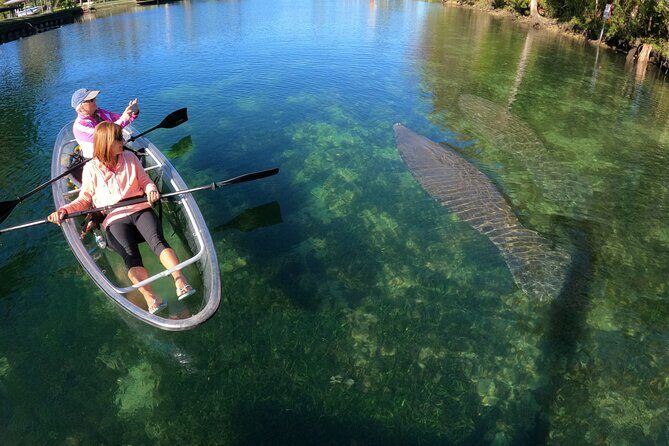 Clear Kayak Manatee Ecotour of Crystal River - FAQ