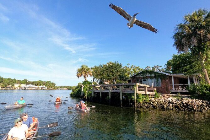 Clear Kayak Manatee Viewing Sunset and Glow Tour of Crystal River - A Closer Look at the Clear Kayak Manatee Viewing Sunset and Glow Tour of Crystal River