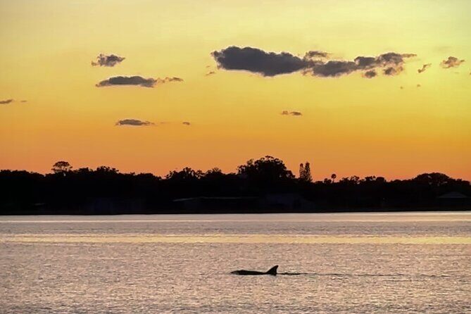 Clear Kayak Manatee Viewing Sunset and Glow Tour of Crystal River - Final Thoughts: Is This Tour Worth Your Time?