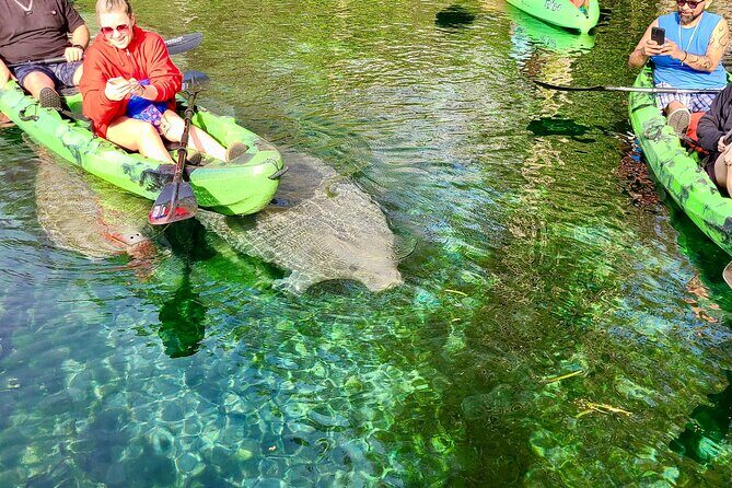 Clear Kayak or Paddleboard Manatee Adventure - Insights from Travelers’ Experiences