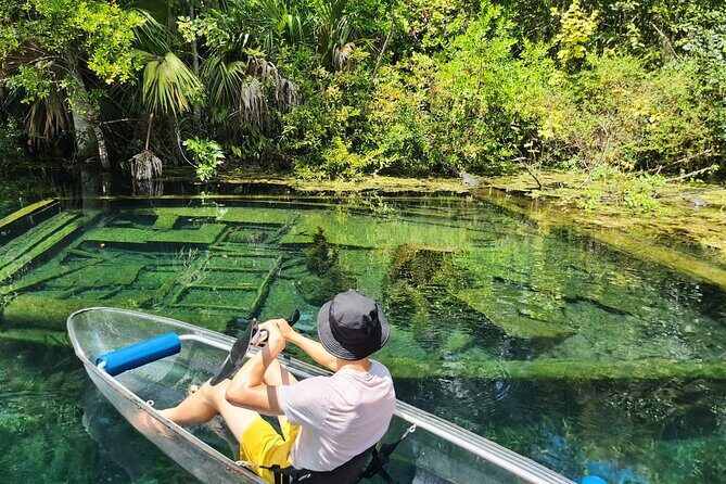 Clear Kayak or Paddleboard Manatee Adventure - Practical Details: What You Need to Know