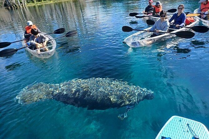 Clear Kayak or Paddleboard Manatee Adventure - FAQs