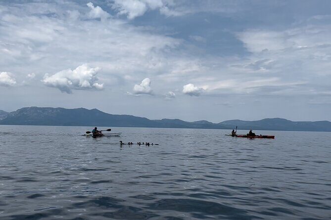 Clear Kayak Paddle Tour at Cave Rock - Comparing Value and Experience