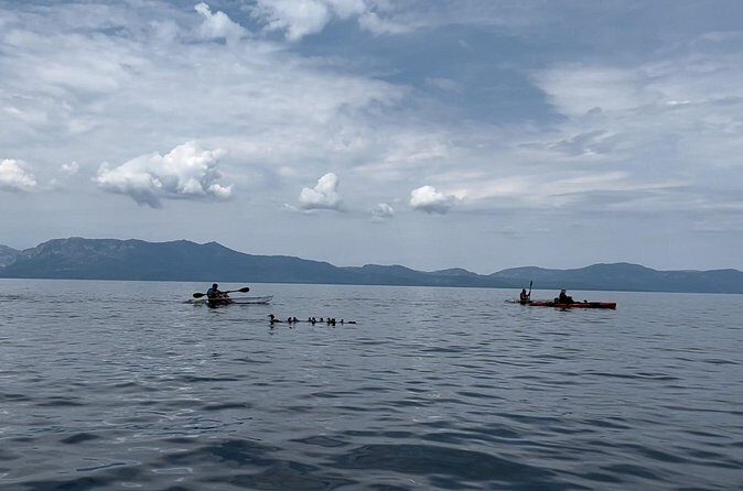 Clear Kayak Paddle Tour at Cave Rock - FAQ