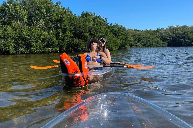 Clear Kayak Private Guided Day and Night Tours in Florida - An In-Depth Look at the Sarasota Kayak Experience