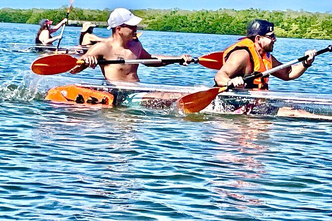Clear Kayak Private Guided Day and Night Tours in Florida - FAQs