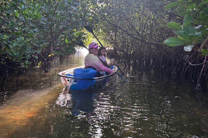 Clear Kayak RentalPeanut Island/West Palm Beach - Real User Perspectives and What They Say