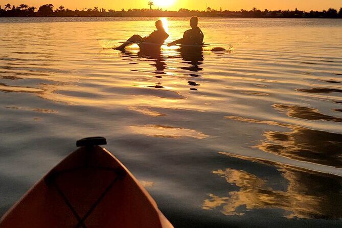 Clear Kayak Sunset Tour - Cocoa Beach - An In-Depth Look at the Experience