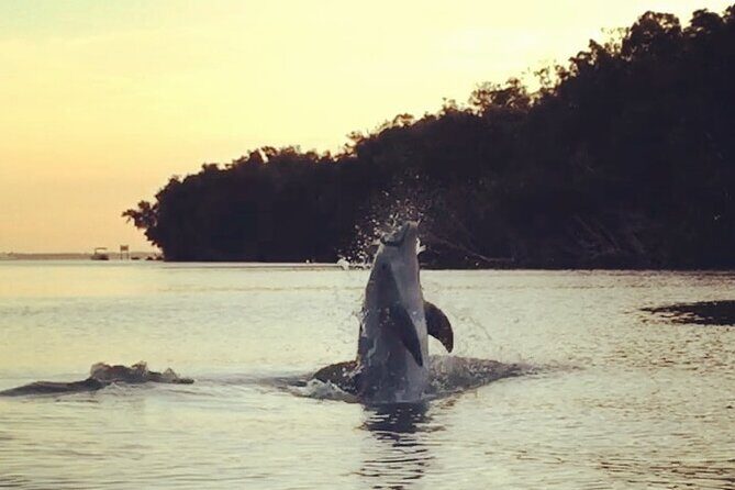 Clear Kayak Sunset Tour - Cocoa Beach - Practical Tips