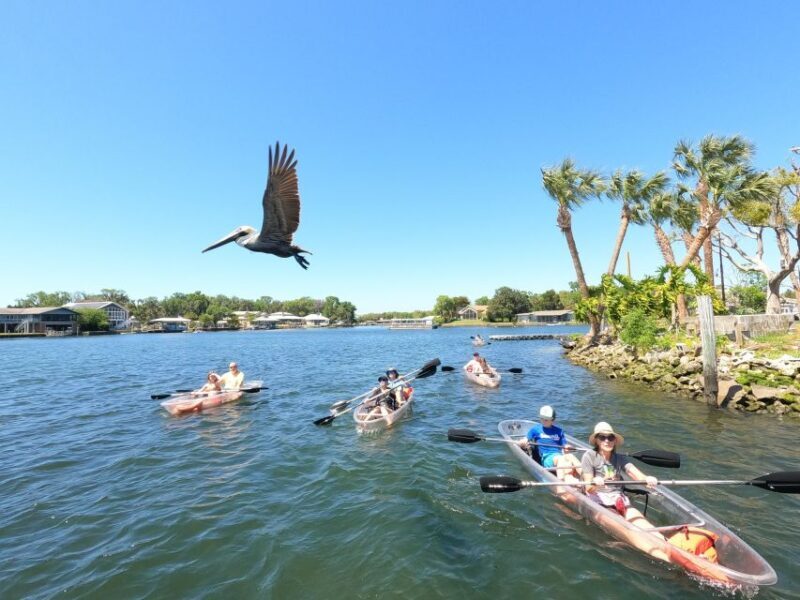 Clear Kayak Three Sisters Springs Ecotour of Crystal River - What the Tour Offers for Travelers