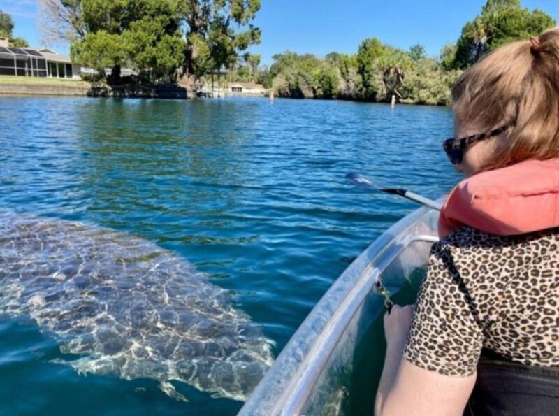 Clear Kayak Three Sisters Springs Ecotour of Crystal River - Practicalities and Value