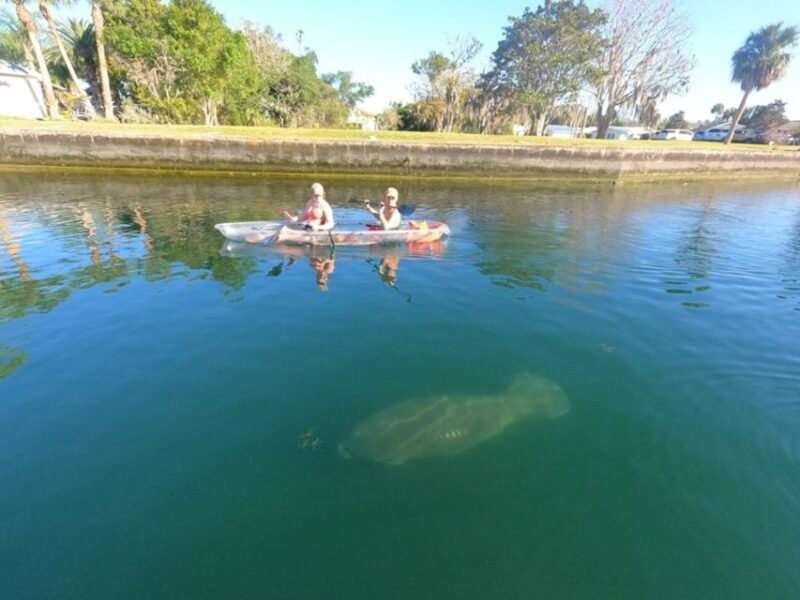 Clear Kayak Three Sisters Springs Ecotour of Crystal River - FAQ