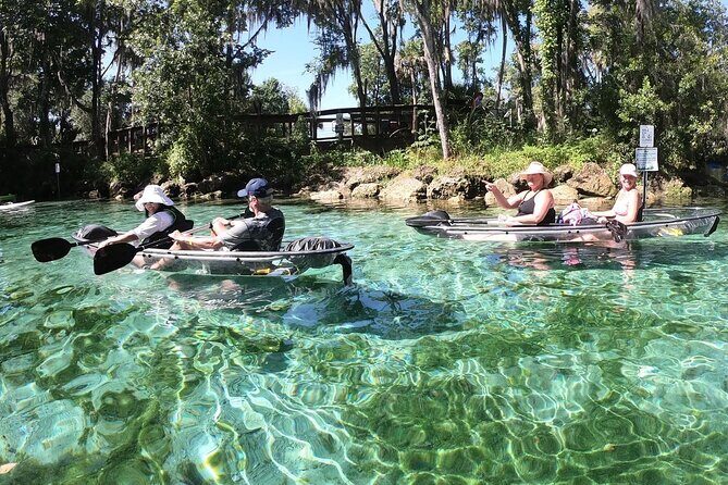Clear Kayak Three Sisters Springs & Manatee Tour Of Crystal River - Guides & Group Size