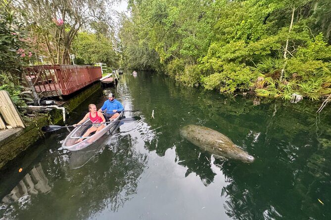 Clear Kayak Three Sisters Springs Sunset and Glow Tour - Frequently Asked Questions