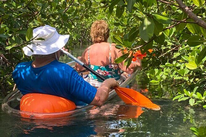 Clear Kayak Tour - Who Will Love This Tour?