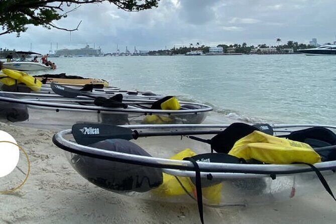 Clear Kayak Tour in South Miami Beach and Biscayne Bay - Discover the Magic of Miami’s Waterways with a Clear Kayak Tour