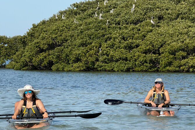 Clear Kayak Tour of Clearwater Beach - Authentic Wildlife Encounters and Expert Guidance
