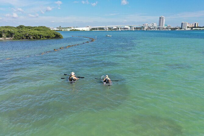 Clear Kayak Tour of Clearwater Beach - Practical Details: What You Need to Know