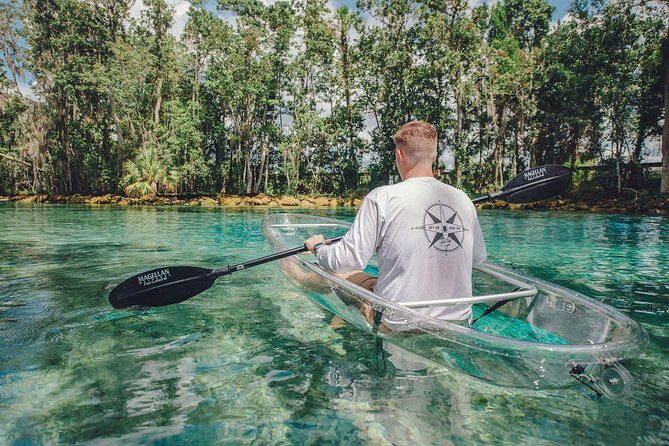 Clear Kayak Tour of Crystal River - The Itinerary: How a Typical Tour Unfolds