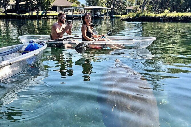 Clear Kayak Tour of Crystal River - Seasonality and Wildlife Sightings